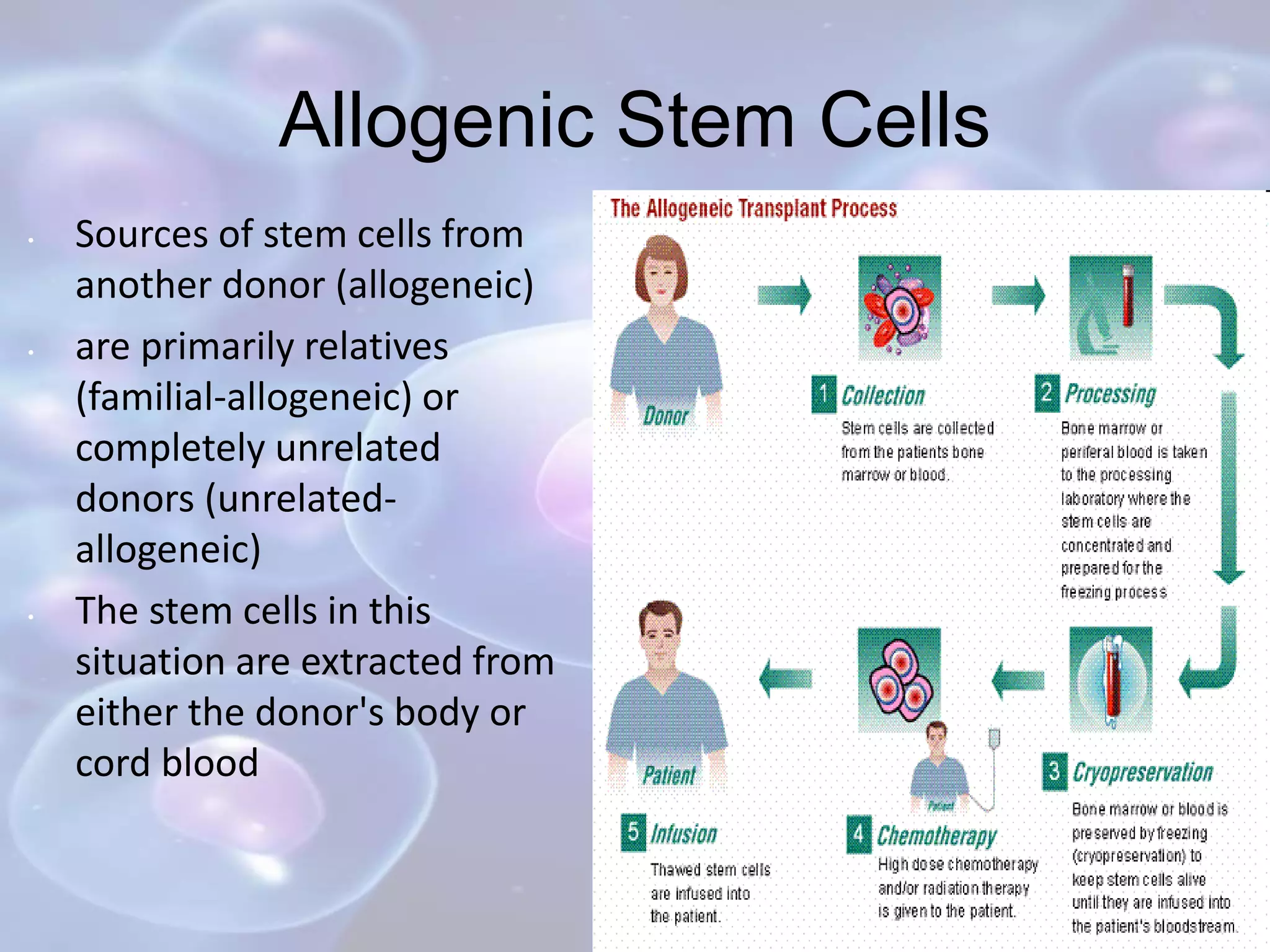 Stem cell therapy | PPTX