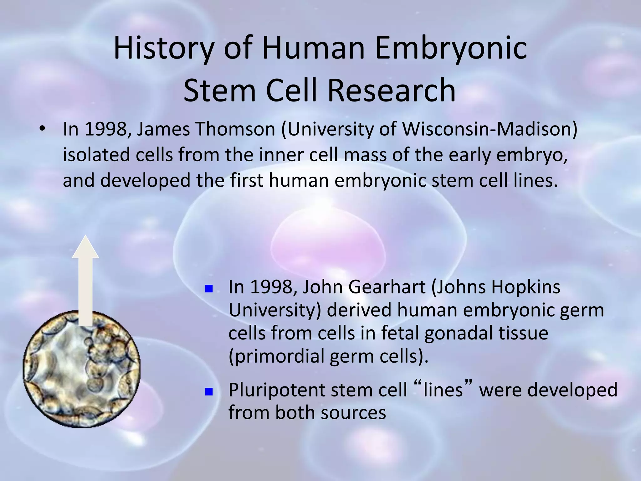 Stem cell therapy | PPTX