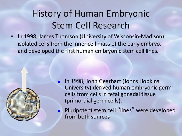 Stem cell therapy | PPTX