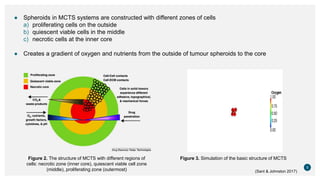 SCT60103 Group 4 Assignment | PPT