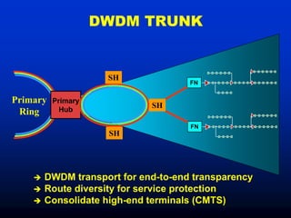 Cable Infrastructure Evolution | PDF | Computer Networking | Computing