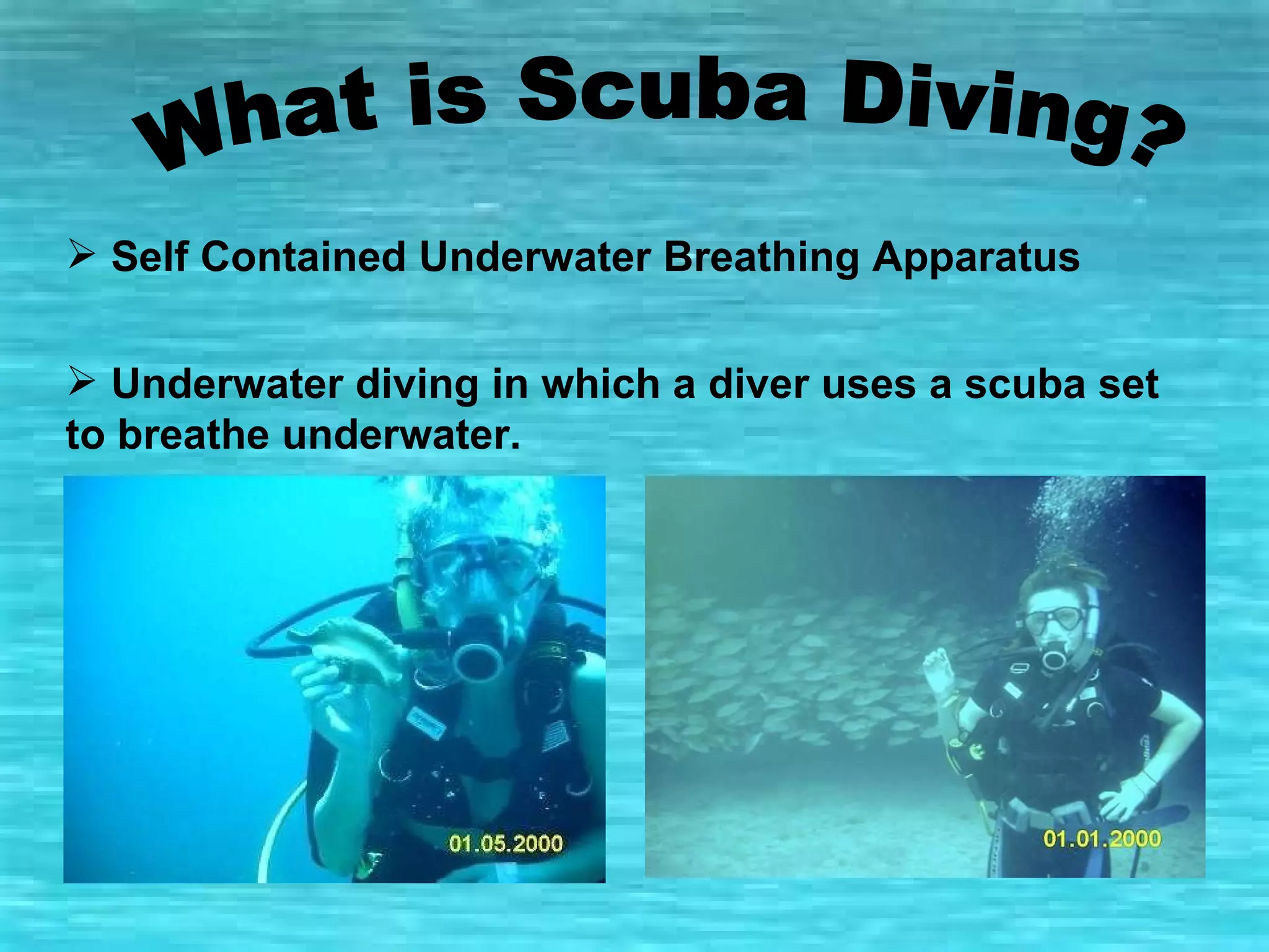 Scuba Diving | PPT