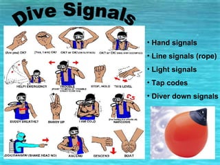 Scuba Diving | PPT | Scuba Diving | Extreme Sports