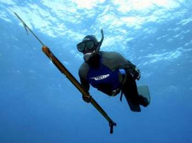 Scuba diving | PPT