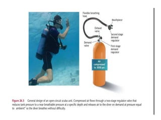 SCUBA DIVING.pptx