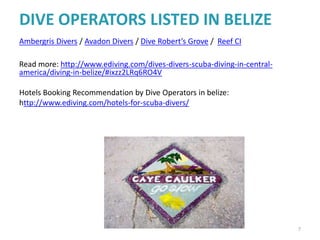 Scuba diving in Belize | PPT