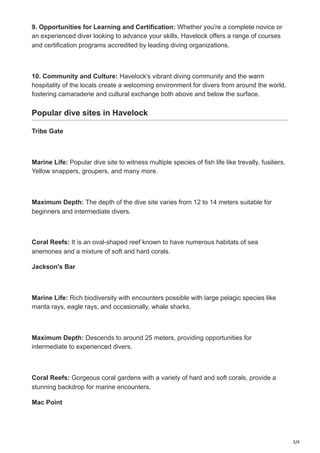 Top 10 Reasons to Experience The Best Scuba Diving in Havelock | PDF