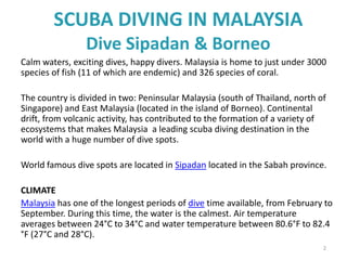 Scuba Diving in MALAYSIA - Dive Sipadan & Borneo I EDIVING.COM I Scuba ...