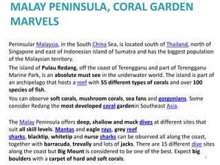 Scuba Diving in MALAYSIA - Dive Sipadan & Borneo I EDIVING.COM I Scuba ...