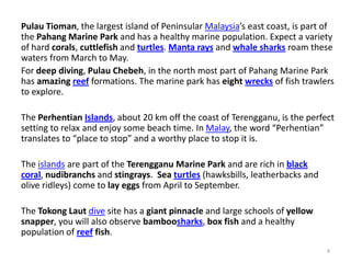 Scuba Diving in MALAYSIA - Dive Sipadan & Borneo I EDIVING.COM I Scuba ...