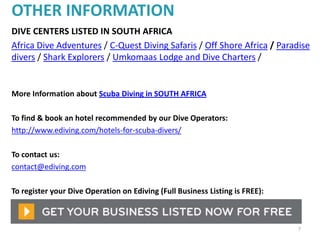 Scuba Dving in South Africa I DIVE WITH THE GREAT WHITE SHARK I Ediving ...