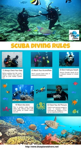 Scuba Diving Rules