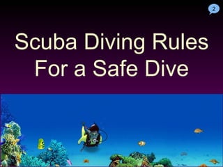 Scuba Diving Rules For a Safe Dive | PPT