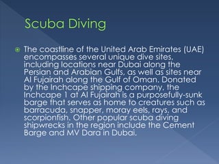 Scuba Diving Throughout the Middle East | PPT