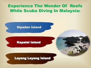 Scuba great destinations | PPT