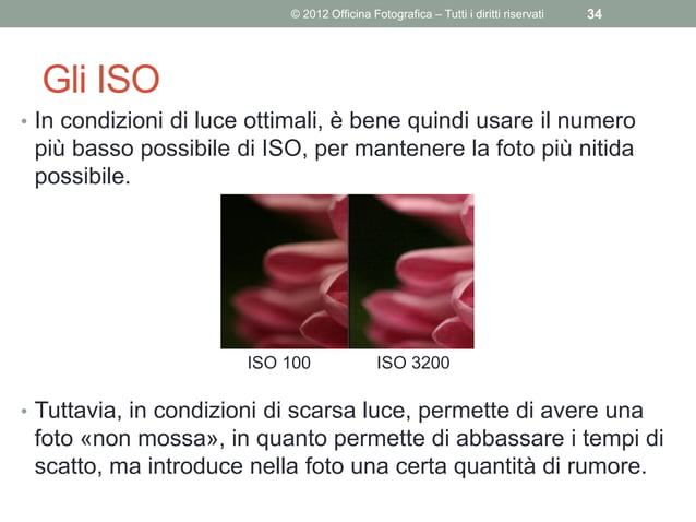 Scuola di fotografia - Lezione 1: Tempi, diaframmi, ISO ed esposizione ...
