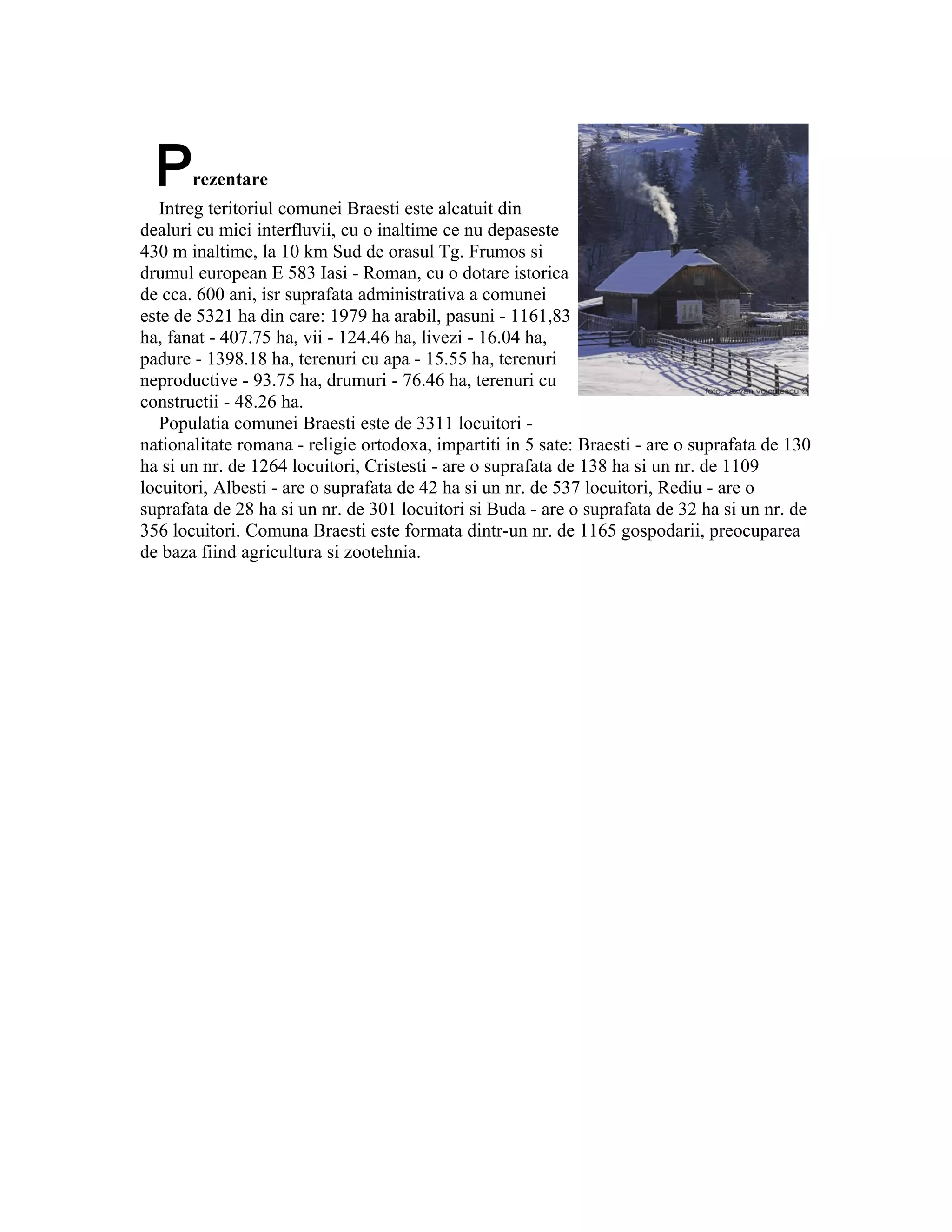 Scurt Istoric | PDF