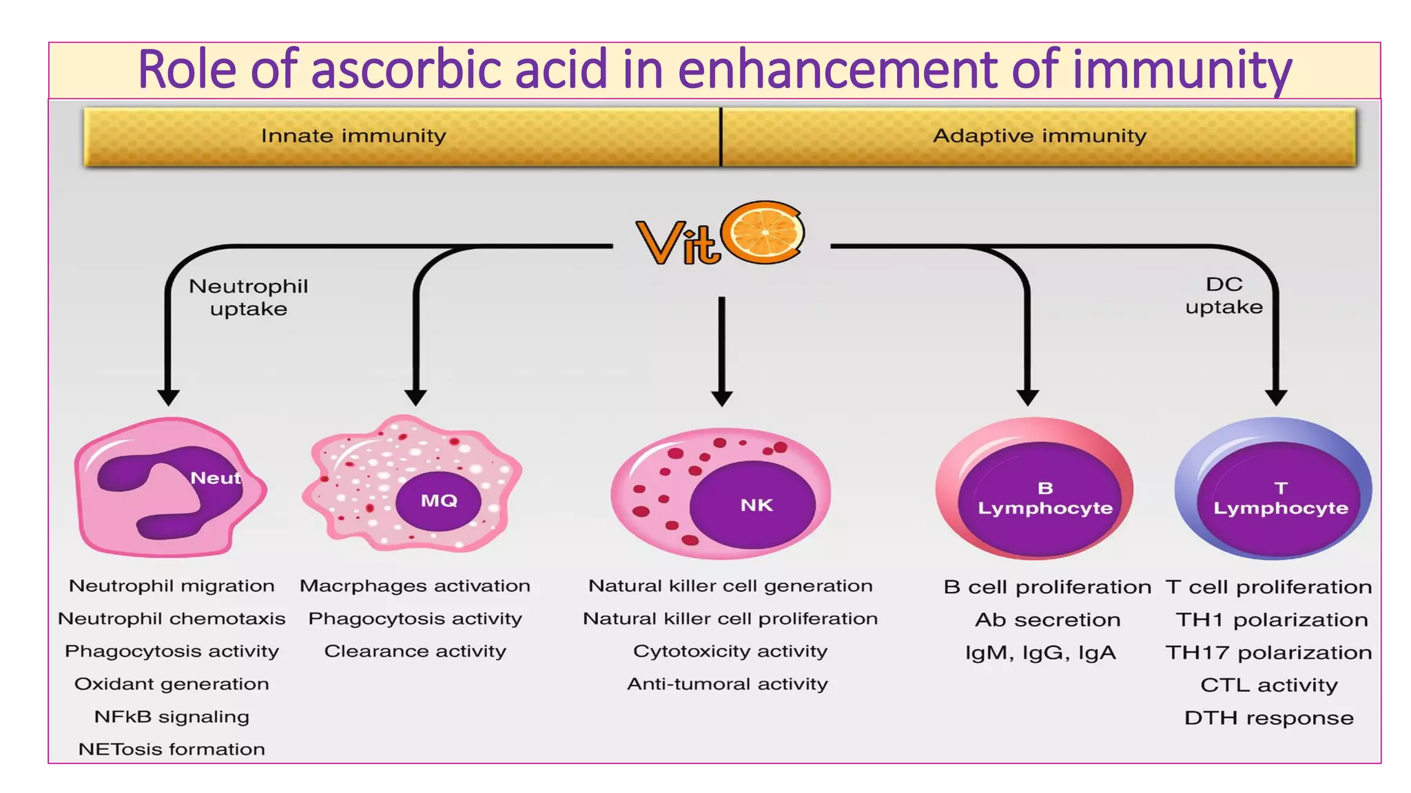 Scurvy (deficiency of vitamin C) | PDF