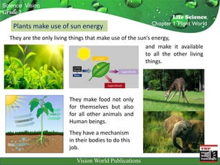 Sc v 2 ch 1 lsn 3 uses of plants | PPTX