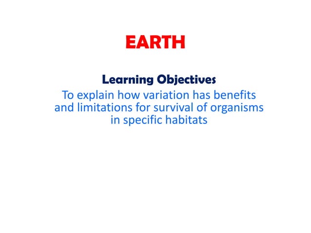 HABITATS - FOOD CHAIN AND FOOD WEB | PPTX | Biological Sciences | Science