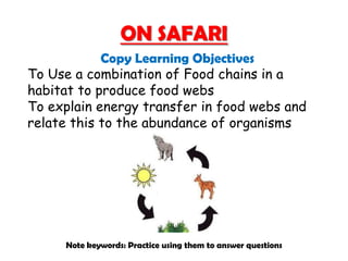 HABITATS - FOOD CHAIN AND FOOD WEB | PPTX