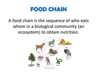 HABITATS - FOOD CHAIN AND FOOD WEB | PPTX