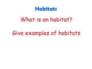 HABITATS - FOOD CHAIN AND FOOD WEB | PPTX