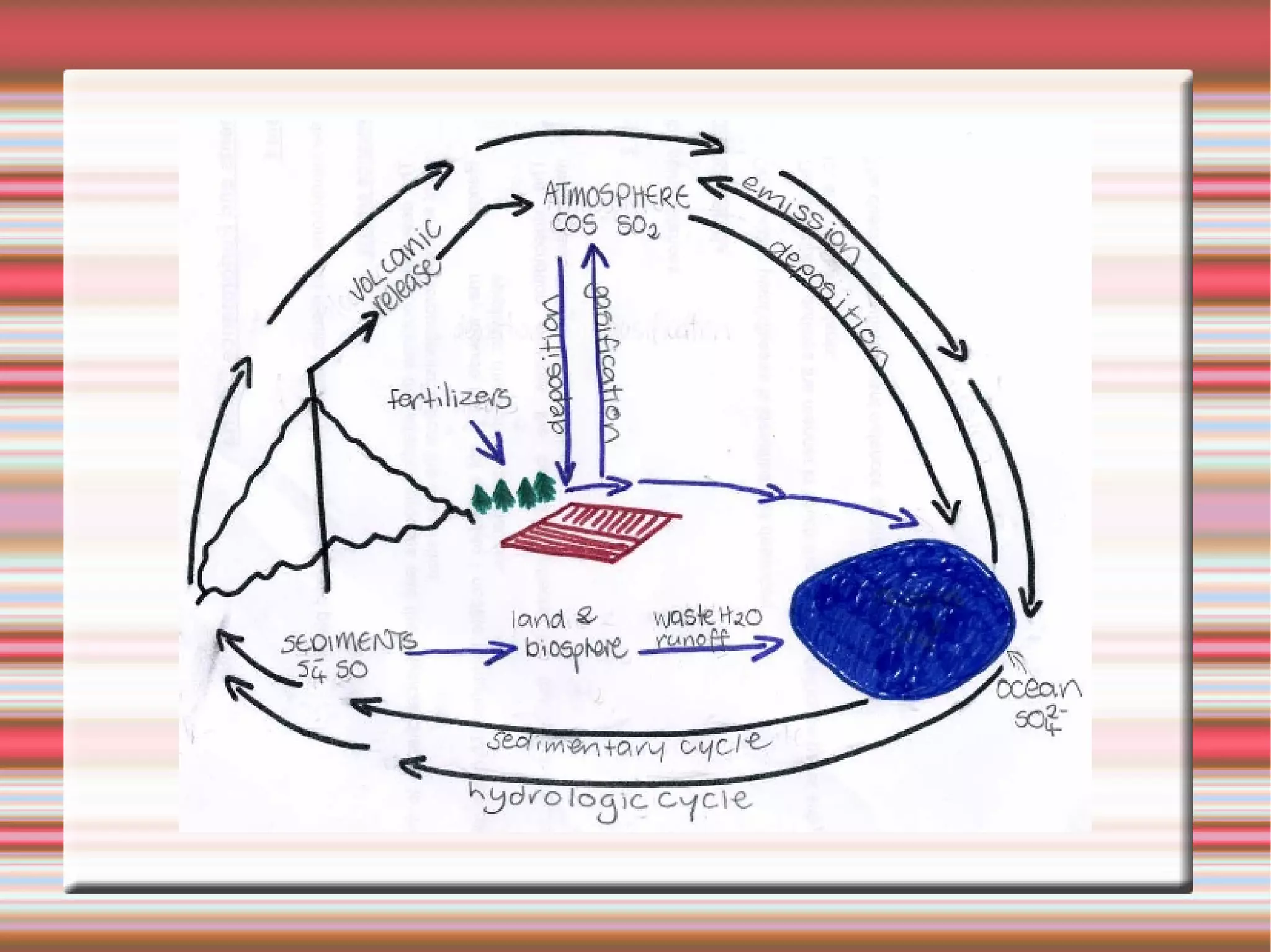 Sulphur cycle & microbes | PPT