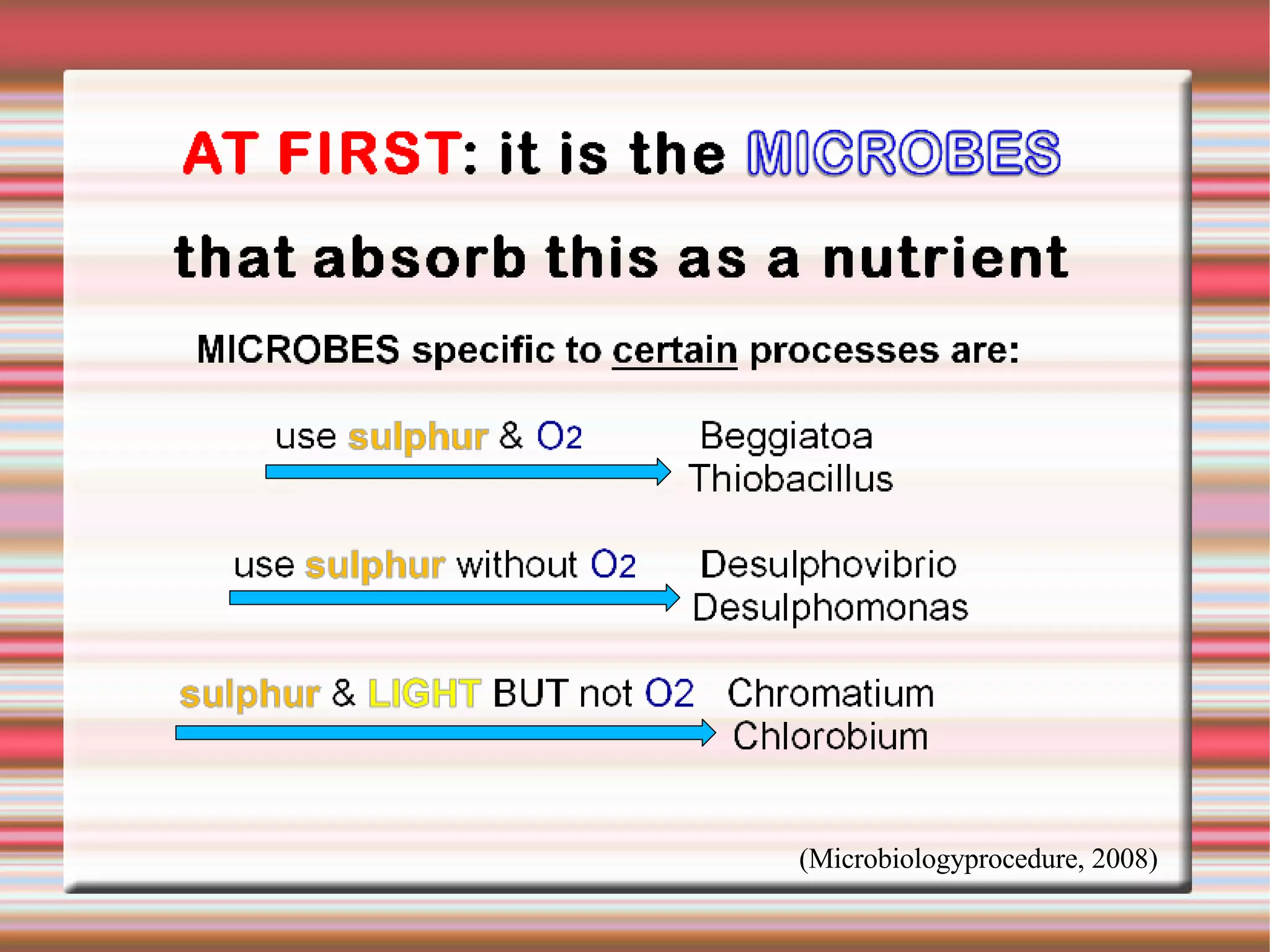 Sulphur cycle & microbes | PPT