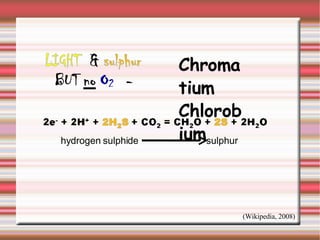 Sulphur cycle & microbes | PPT