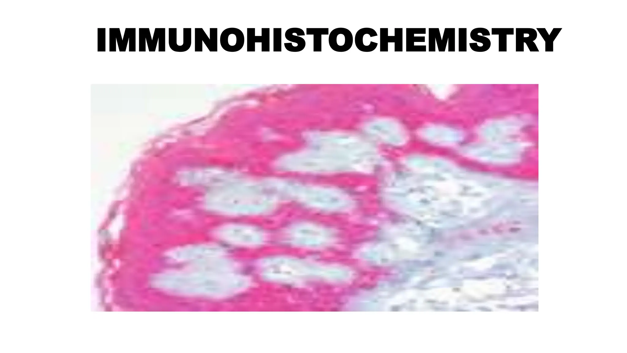 Scytek laboratories - #1 diagnostic reagents: Special Stains ...