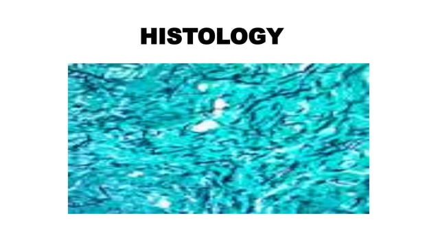 Scytek laboratories - #1 diagnostic reagents: Special Stains ...