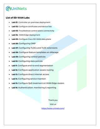 Best SDWAN Training course Online | Cisco SDWAN Course | PDF