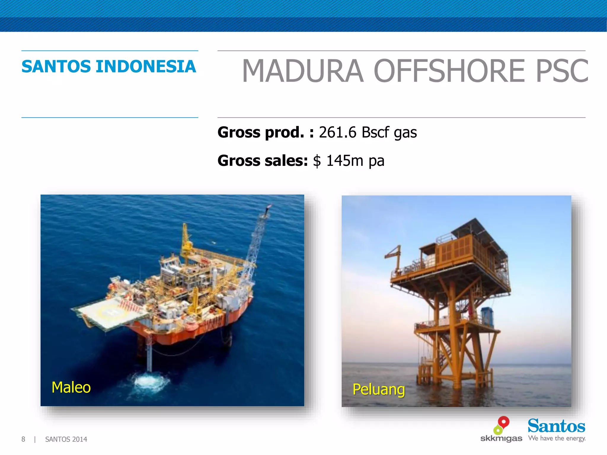Santos indonesia 2014 (linked in) | PDF