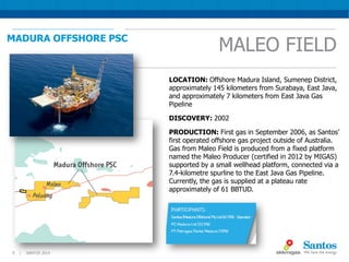 Santos indonesia 2014 (linked in) | PDF
