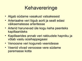 Süda Ja Vereringe | PPT