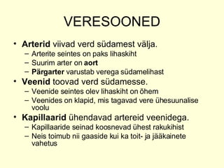 Süda Ja Vereringe | PPT