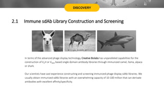 Advantages of Immune Library | PPT