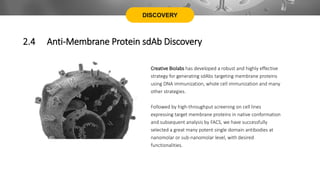 sdAb Functional Identification | PPT