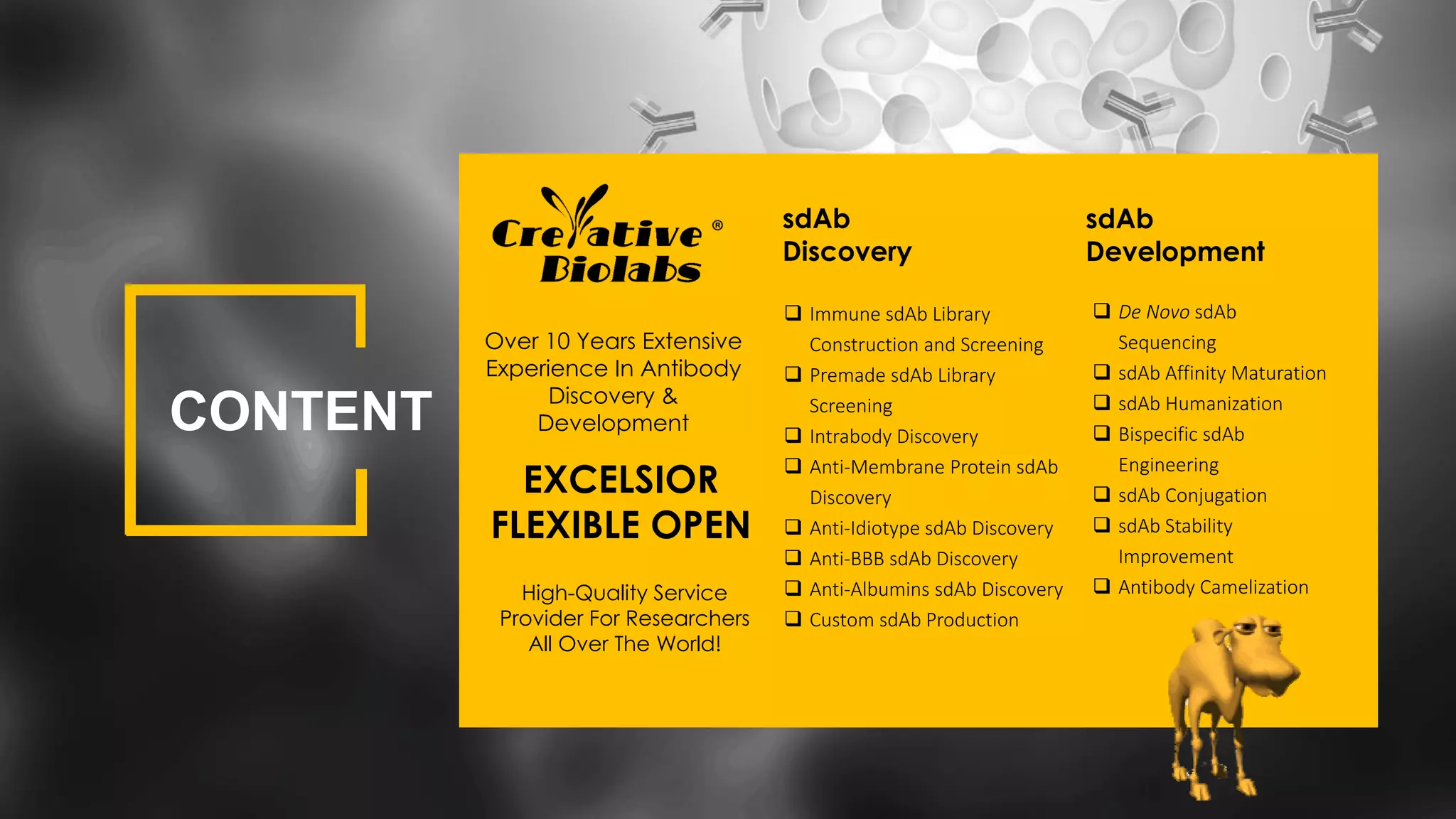 Phage Display Screening for Single Domain Antibody (sdAb) | PDF