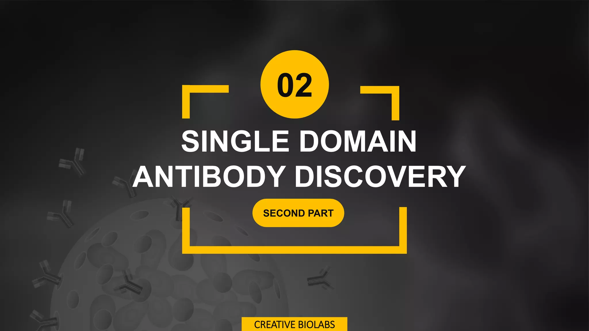 SINGLE DOMAIN ANTIBODY DISCOVERY | PPT