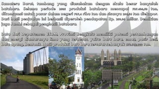 Sumber Daya Alam di Sumatera | PPTX