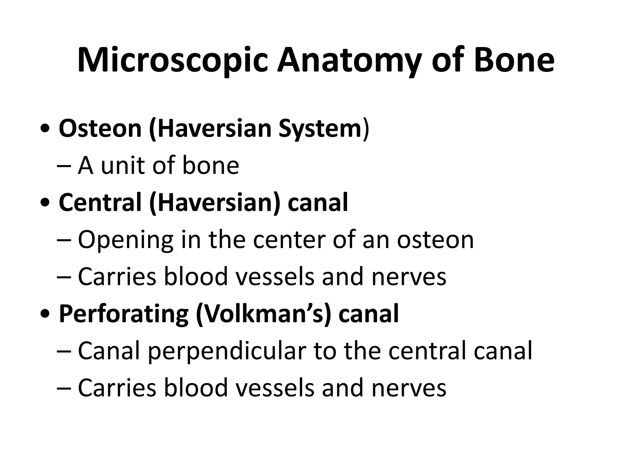Anatomy and physiology of a bone ( orthopedics) | PPTX