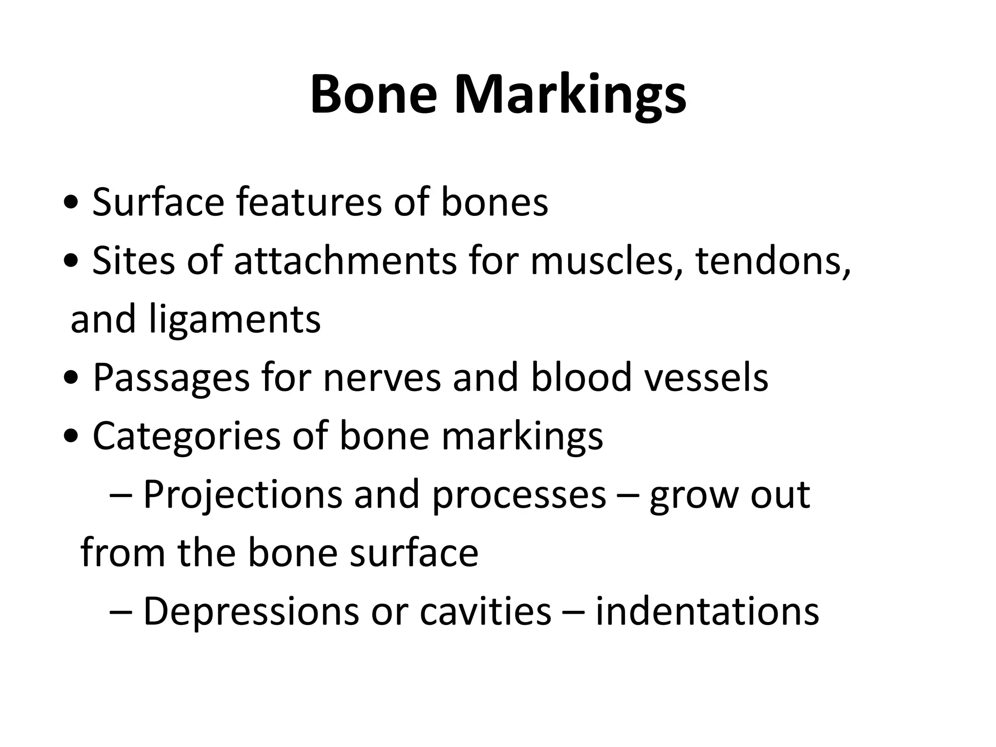 Anatomy and physiology of a bone ( orthopedics) | PPTX