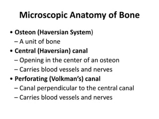 Anatomy and physiology of a bone ( orthopedics) | PPTX