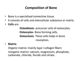 Anatomy and physiology of a bone ( orthopedics) | PPTX
