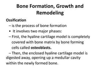 Anatomy and physiology of a bone ( orthopedics) | PPTX