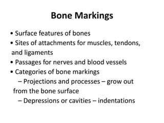 Anatomy and physiology of a bone ( orthopedics) | PPTX