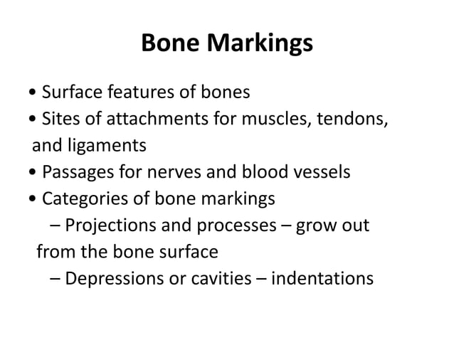 Anatomy and physiology of a bone ( orthopedics) | PPTX