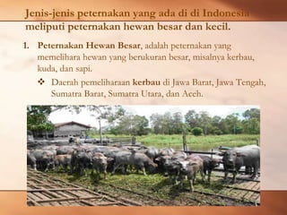 Sumber Daya Peternakan | PPTX